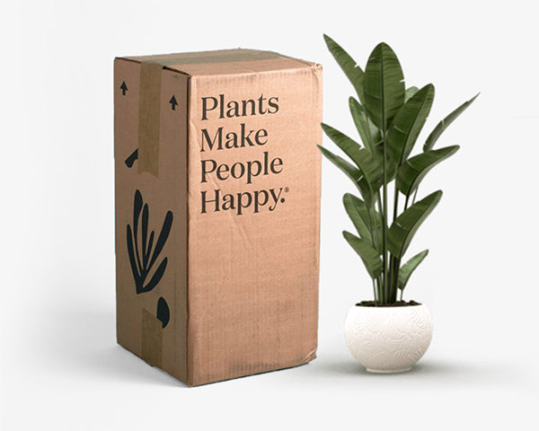 The Nursery Center | Buy High Quality Plants Online